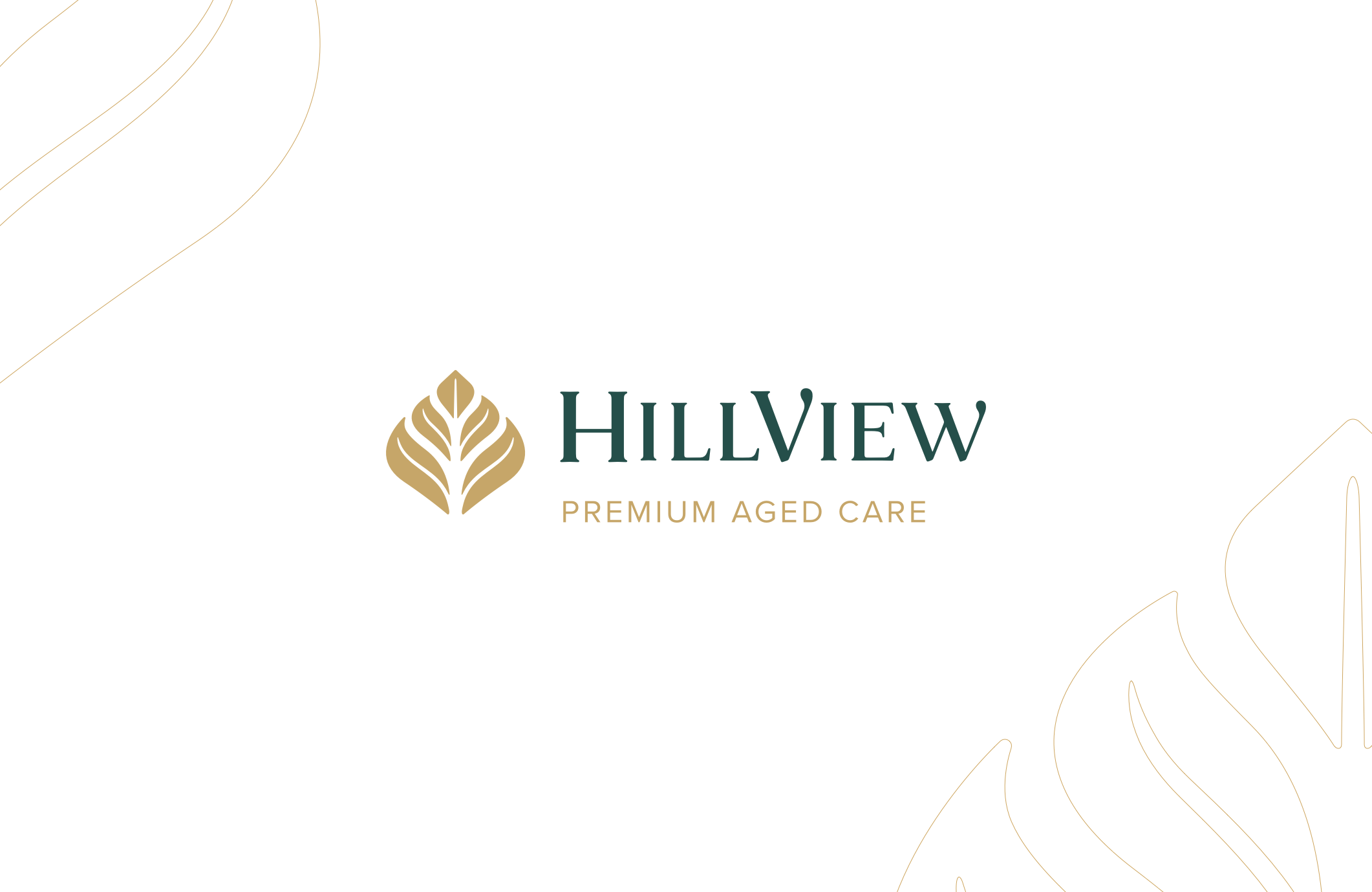 HillView Aged Care ⋆ Portfolio ⋆ Thrive Digital Gold Coast