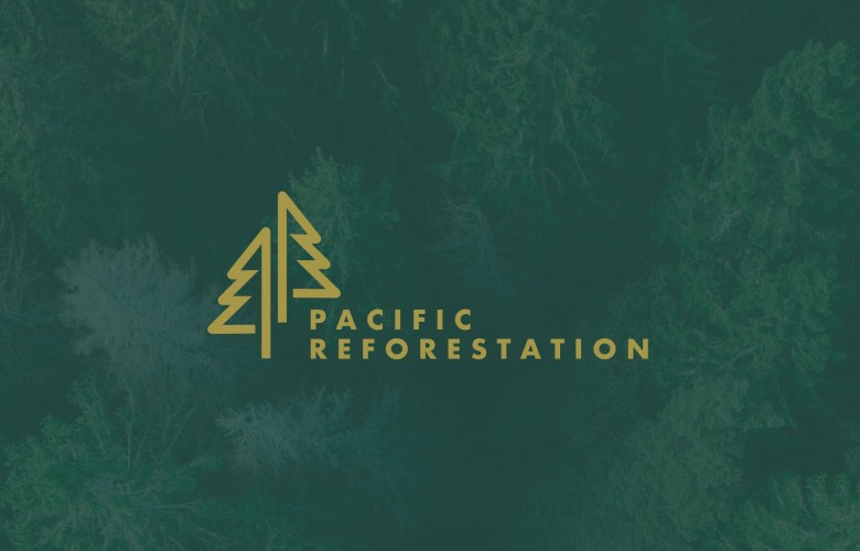 Pacific Reforestation ⋆ Portfolio ⋆ Thrive Digital Gold Coast