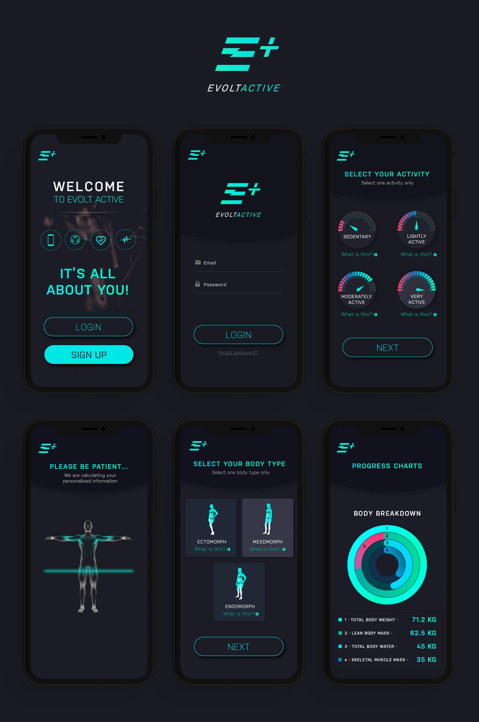 Mobile & Responsive App Design ⋆ Thrive Digital Gold Coast